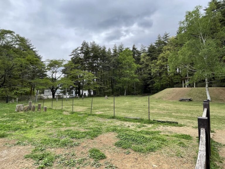 【宿泊記ブログ】八ヶ岳ホテル 風かでオールインクルーシブを満喫した子連れ旅行 | OUCHIMA!