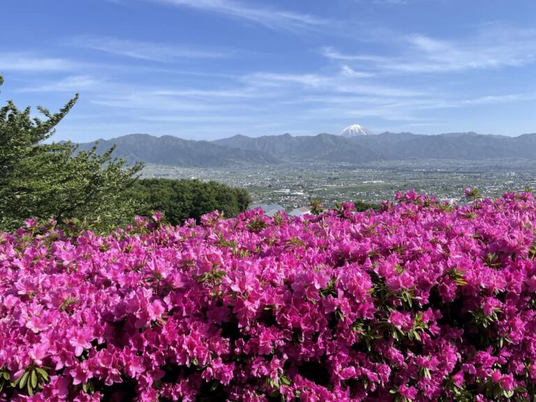 大満足！子連れ山梨旅行1泊2日のモデルコース│旅行記ブログ | OUCHIMA!
