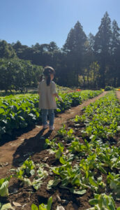 【子連れグランピング初体験】ザ・ファーム（THE FARM）秋の1泊2日 | OUCHIMA!